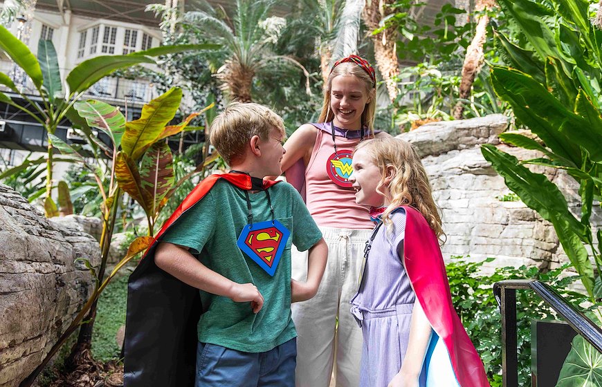 DC Summer at Gaylord Hotels